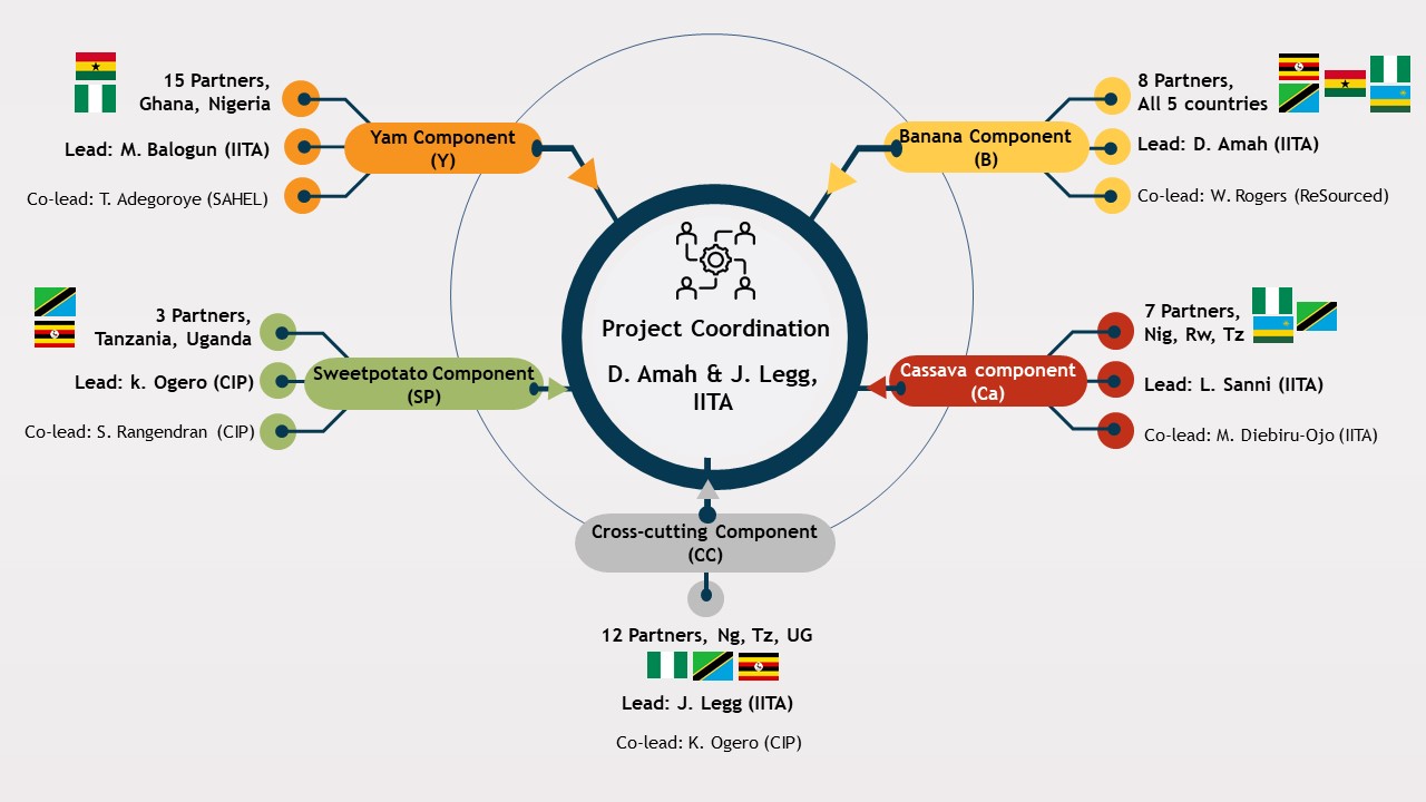 What We Do – PROSSIVA