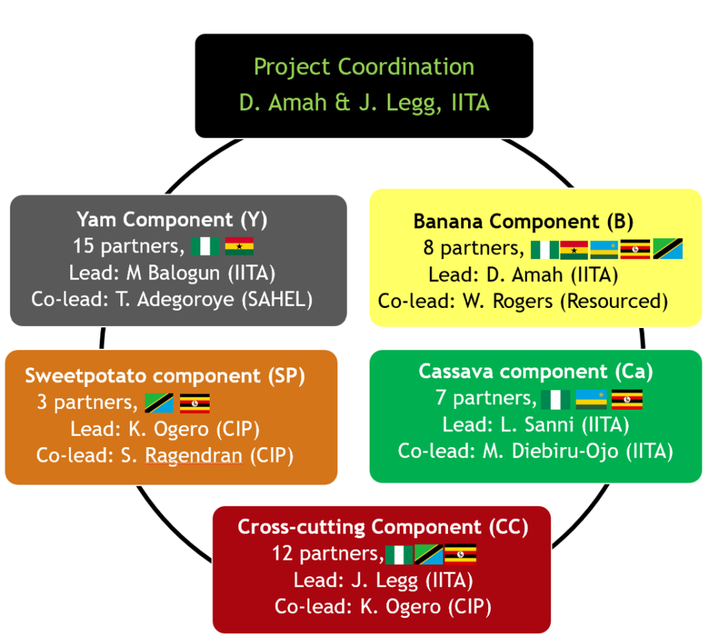 Who We Are – PROSSIVA