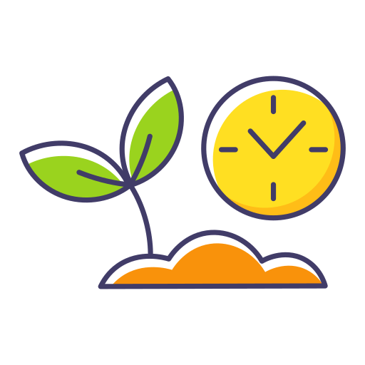 Sweetpotato Seed System – PROSSIVA